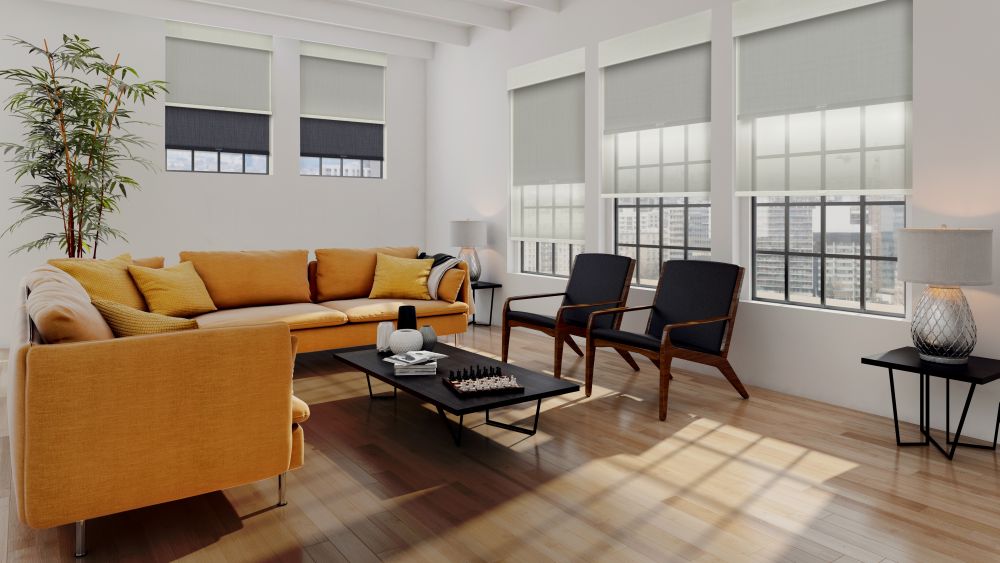 Designer Dual Roller Shades | Blinds.com