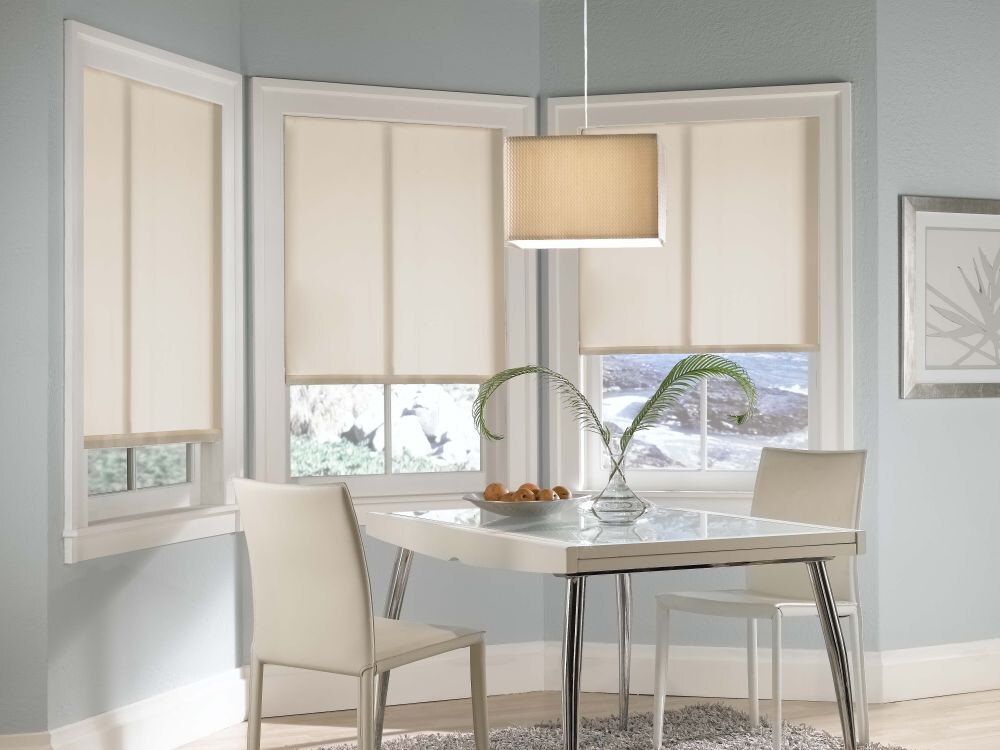 Blinds.com Basic Solar Roller Shades | Blinds.com