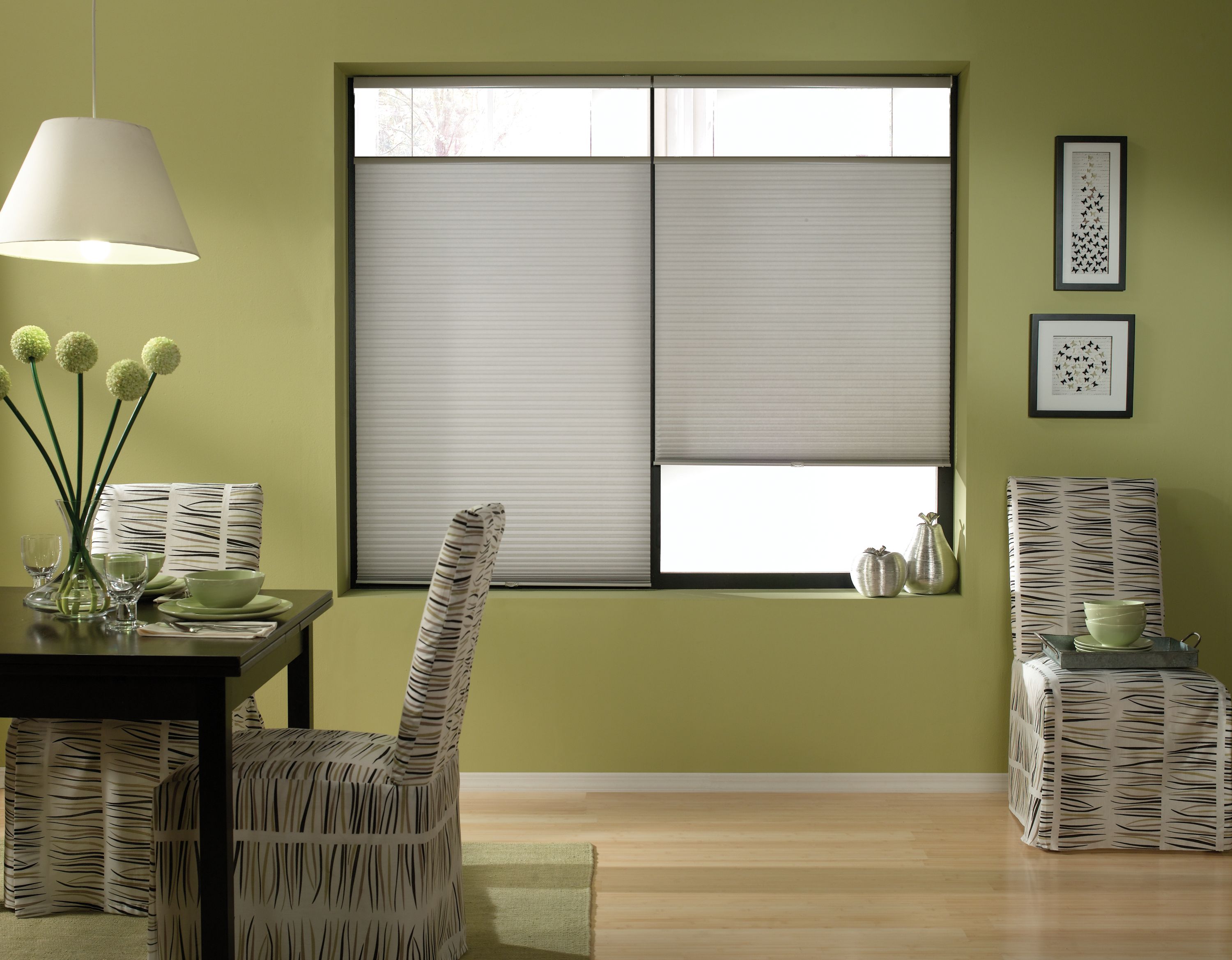 Basic Cordless Light Filtering Cell Shades | Blinds.com