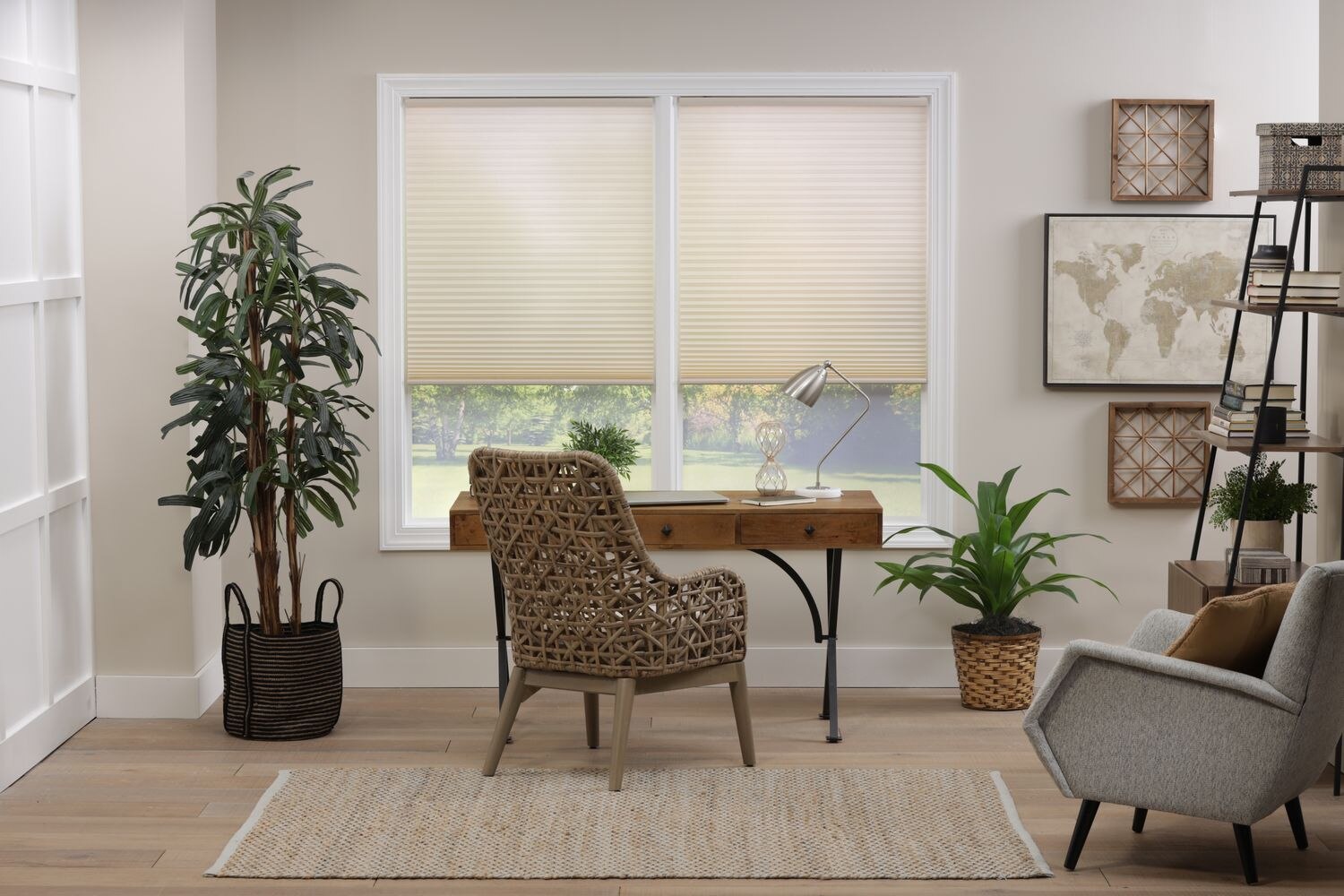 SimplyEco Cordless Light Filtering Cellular Shades - Blinds.com