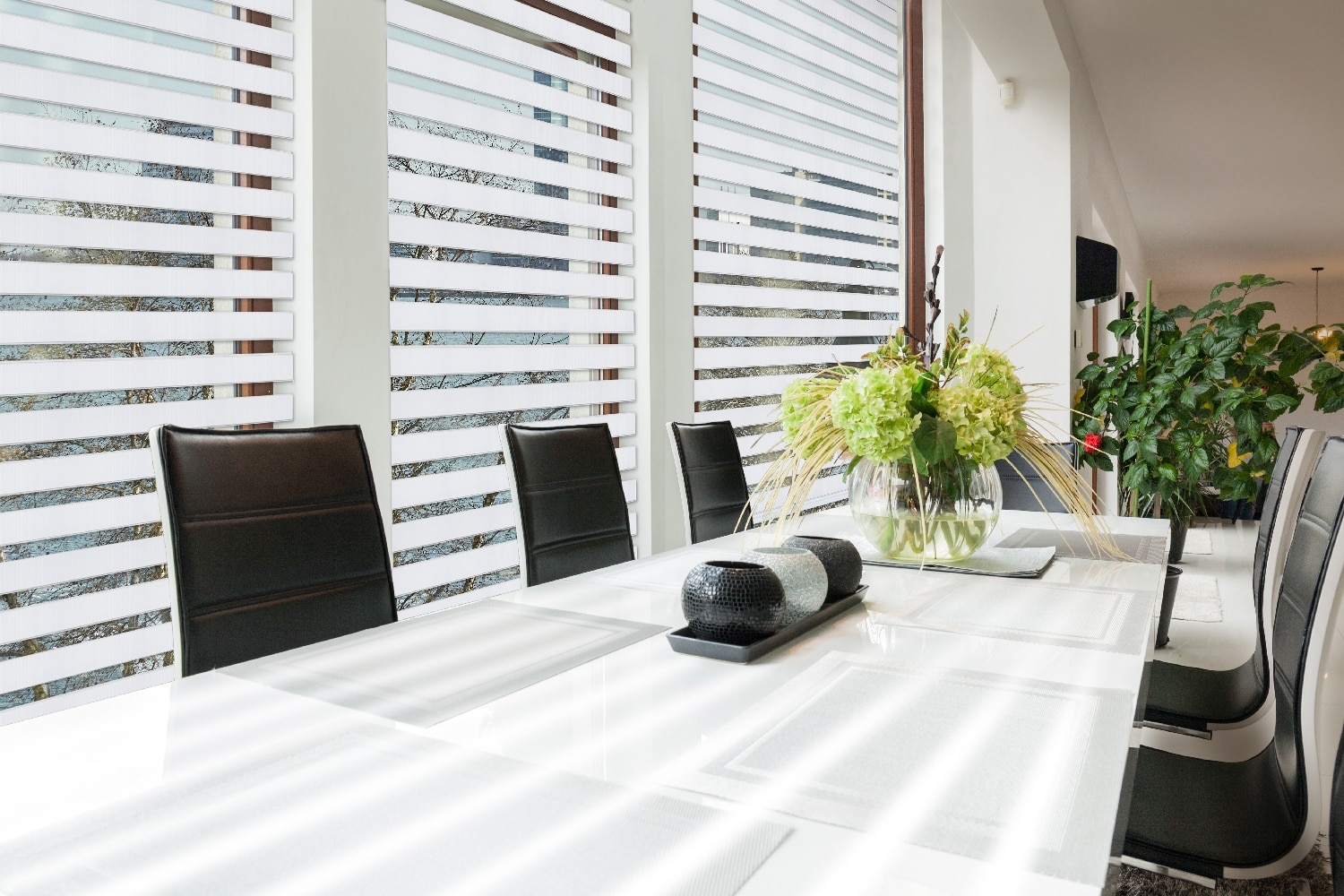 SouthSeas Zebra Shades - Blinds.com