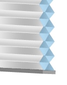 Double Cell Cellular Shades | Blinds.com