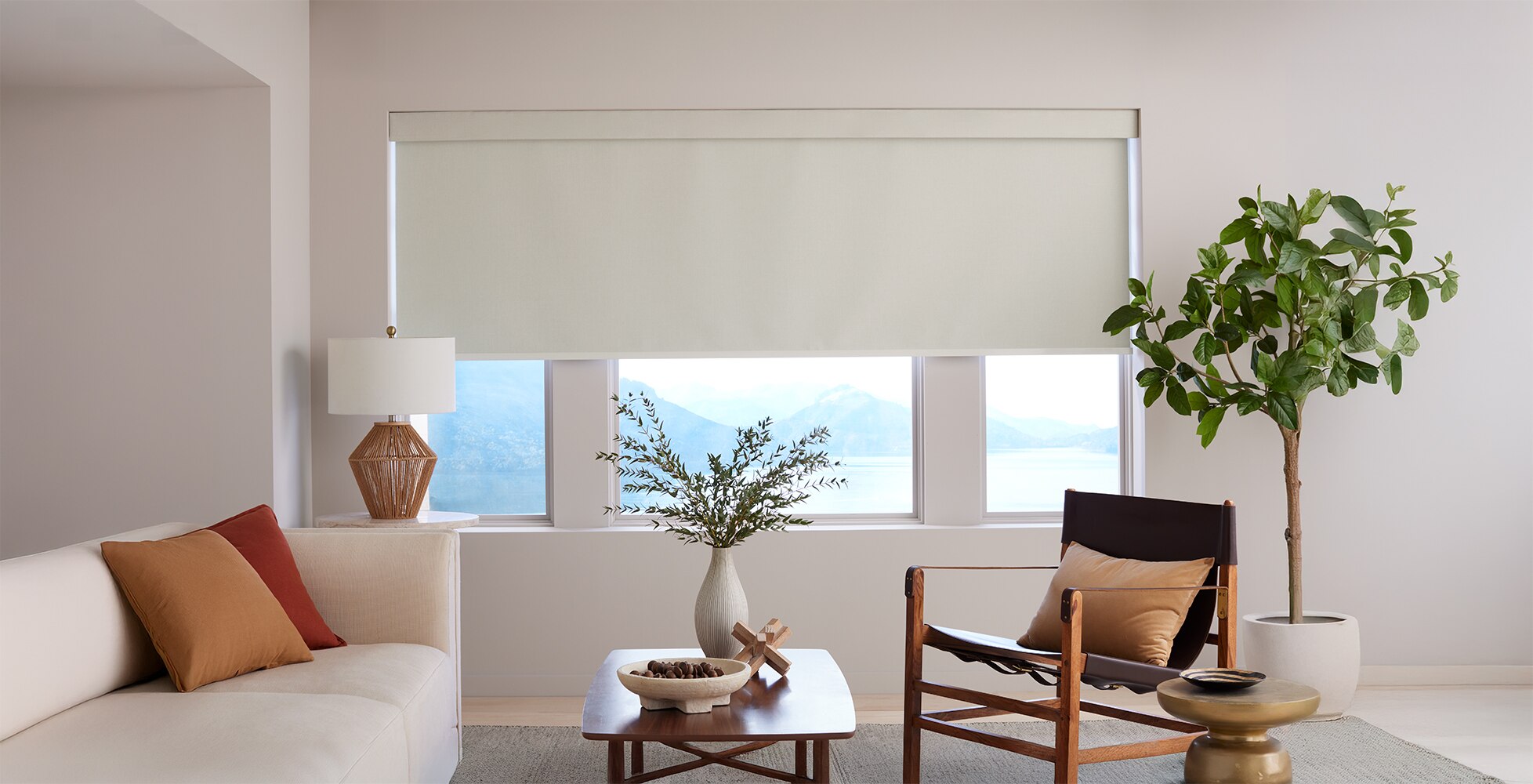 Eve Motionblinds Motorized Blackout Roller Shades - Blinds.com